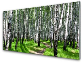 Obraz na skle Stromy Tráva Příroda 125x50 cm