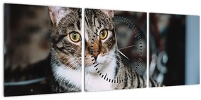 Obraz kočky (s hodinami) (90x30 cm)