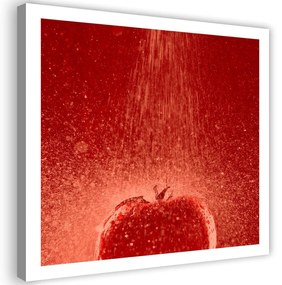 Gario Obraz na plátně Rajče pod proudem vody Rozměry: 30 x 30 cm