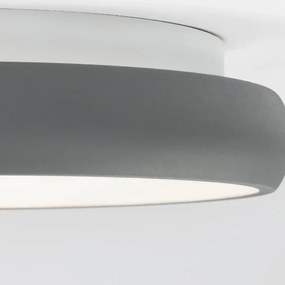 Stropní svítidlo LED se stmíváním Albi 41 světlá šedá