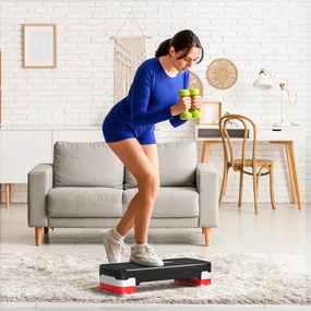 HOMCOM Stepping Board Aerobic Fitness s nastavitelnou výškou (10/20 cm), cvičební kolo Stepper, černá+šedá+červená, 68x28x15cm| Aosom