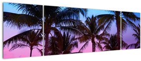 Obraz - Palmy v Miami (170x50 cm)