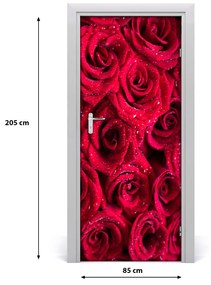 Fototapeta na dveře Červená růže 85x205 cm