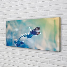 Obrazy na plátně barevný motýl 140x70 cm