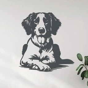 dřevo života Dřevěný obraz Bretaňský ohař Zvolte rozměr (cm): 38x40, Zvolte barvu dekoru: Antracitová