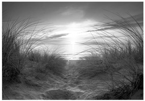 Fototapeta - beach (black and white)