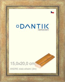DANTIK rámeček 15x20 | ANDRE zlatá střední (Sklo Čiré)