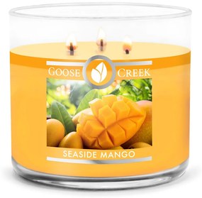 Goose Creek Candle svíčka Seaside Mango, 411 g