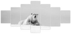 Obraz - Lední medvěd, černobílá (210x100 cm)
