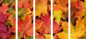 5-dílný obraz listy podzimu - 200x100 cm