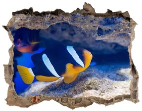 Wallmuralia Díra 3D fototapeta nálepka Tropická ryba 95x64 cm