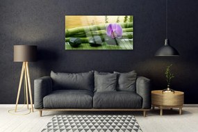 Obraz na skle Květ Kameny Bambus Příroda 100x50 cm