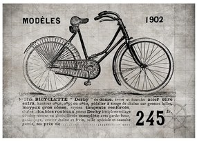 Fototapeta - Bicycle (Vintage)