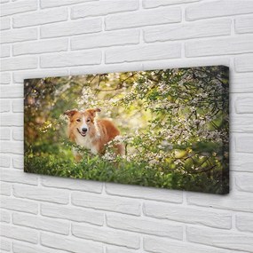 Obrazy na plátně Psí lesní květiny 140x70 cm