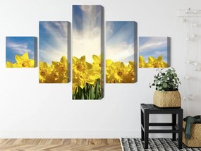 Vícedílný obraz 3D Pole Narcisů Nedostatek Nedostatek Plátno Canvas 250x150