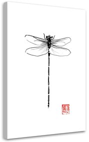 Gario Obraz na plátně Černobílá vážka - Péchane Rozměry: 40 x 60 cm