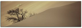 Obraz na plátně - Červené písečné duny - panoráma 5133FA (120x45 cm)