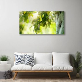 Obraz na plátně Jablka Větev Strom Příroda 125x50 cm
