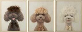 Set 3ks 3D obrazů Pudl Poodle MDF - 50*3,5*60 cm