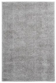 Vopi Kusový koberec Emilia 250 silver 80 x 150  cm