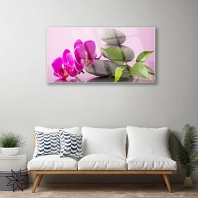Obraz na skle Květ Kameny Zen Rostlina 140x70 cm