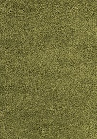 Ayyildiz koberce Kusový koberec Dream Shaggy 4000 green - 200x290 cm