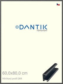 DANTIK rámeček 60x80 | ALU profil 7269 Šedá Oplal broušená (Plexi Čiré)