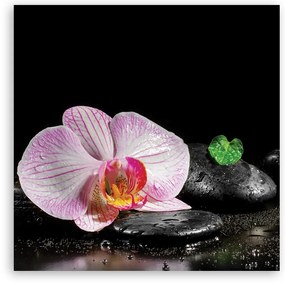 Obraz na plátně, Kvetoucí orchidej zen - 60x60 cm