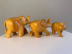 Set 3 dřevěných slonů Indie
