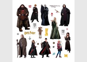 Dětská samolepka na zeď Harry Potter | 30 x 30 cm | DDKS3825