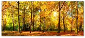Gario Obraz na plátně Zlatý les Rozměry: 90 x 30 cm