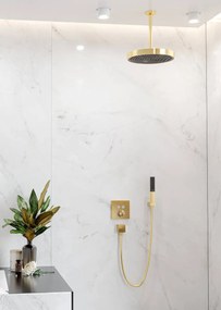 Hansgrohe Rainfinity, tyčová ruční sprcha 100 1jet EcoSmart, leštěný vzhled zlata, HAN-26867990