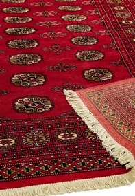 Červený  koberec Monyl Red Rozměry: 270x360 cm