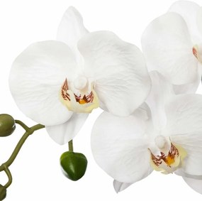 Bílá umělá orchidej v květináči, výška 53 cm