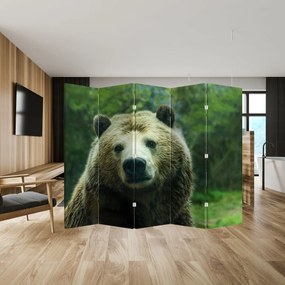 Paraván - Medvěd (210x170 cm)