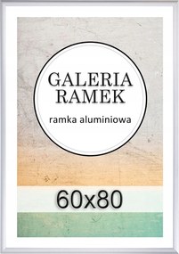 Rámeček na fotografie 60x80 cm Rámeček stříbrný hliníkový fotorámeček