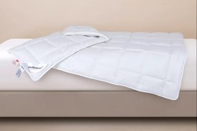 Every Wellnesan 95 Dacron®95 přikrývka 200 x 220 cm - letní