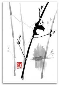 Gario Obraz na plátně Panda na bambusu - Péchane Rozměry: 40 x 60 cm