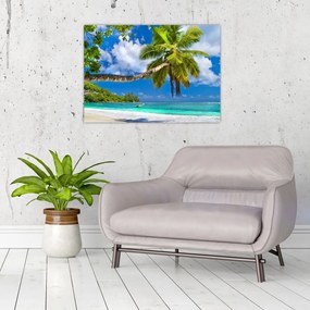 Skleněný obraz - Seychely (70x50 cm)