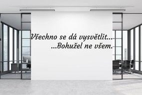 Lepy.cz Samolepka na zeď Všechno se dá vysvětlit Velikost (šířka x výška): 50x9cm, Barevná varianta: Bílá