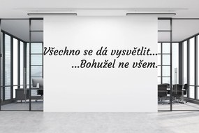 Lepy.cz Samolepka na zeď Všechno se dá vysvětlit Velikost (šířka x výška): l20x22cm, Barevná varianta: Pastelová oranžová