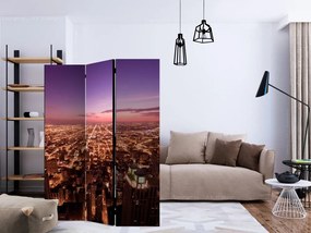 Paraván Chicago Panorama Dekorhome 225x172 cm (5-dílný)