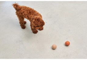 Hračka míček pro psy MiaCara Globo coral Velikost: M