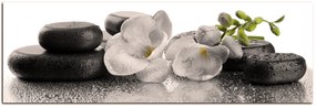 Obraz na plátně - Lávové kameny a  květy - panoráma 563FA (120x45 cm)