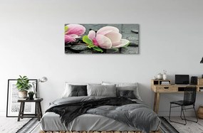 akrylový obraz Magnolia kameny 120x60 cm
