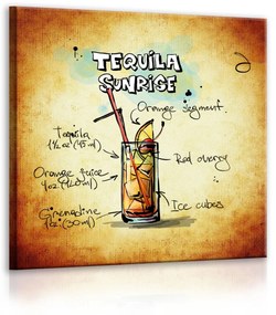 Malvis ® Obraz cedule Tequila Sunrise Velikost (šířka x výška): 30x30 cm