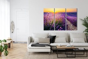 Vícedílný obraz Levandulové Pole Při Západu Slunce 3D Nedostatek Nedostatek Plátno Canvas 120x80