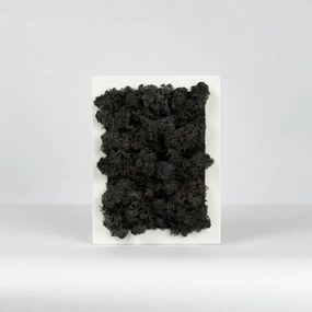 Mechový obraz | 18x13 cm | černý - bílý rám