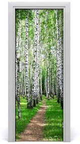 Fototapeta na dveře břízový les 95x205 cm