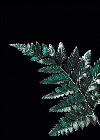 Plakát Dark Fern Leaf